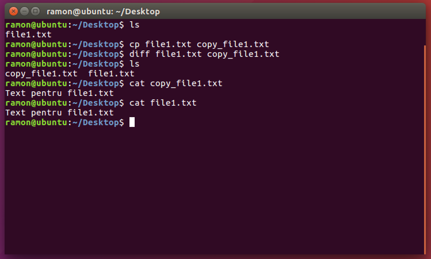 💻 Foldere si Fisiere in Linux - Ubuntu | RamonNastase.ro